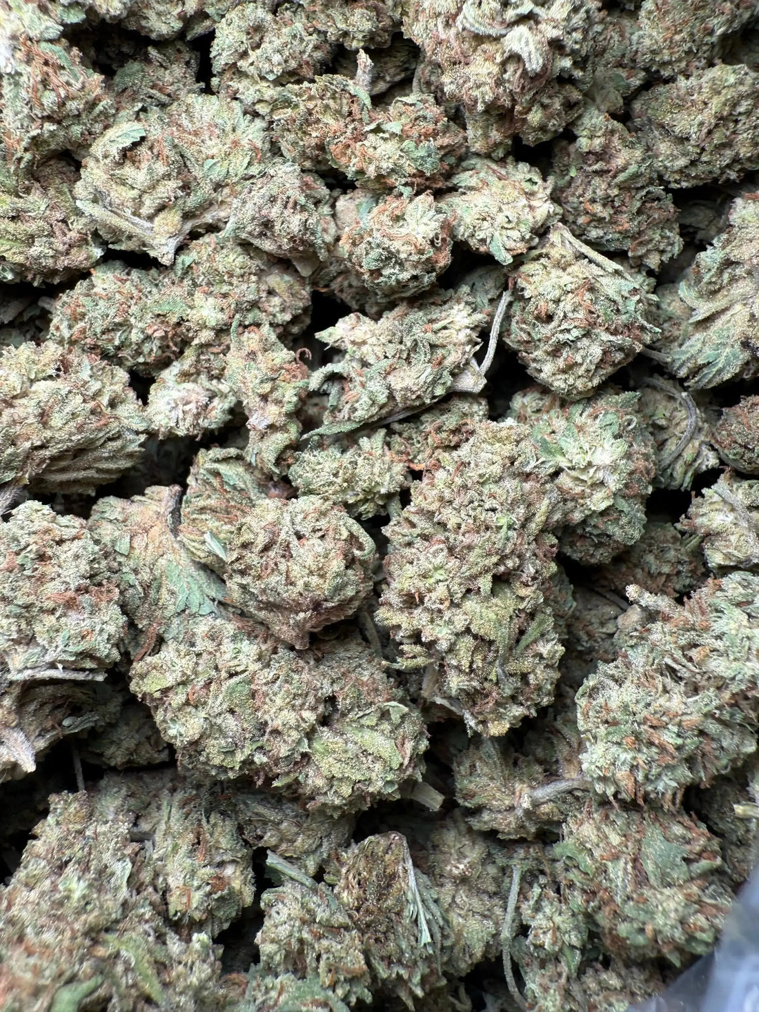 1/4 Pound Han Solo THCA Flower – Premium Bulk THCA – FriscoLabs.com