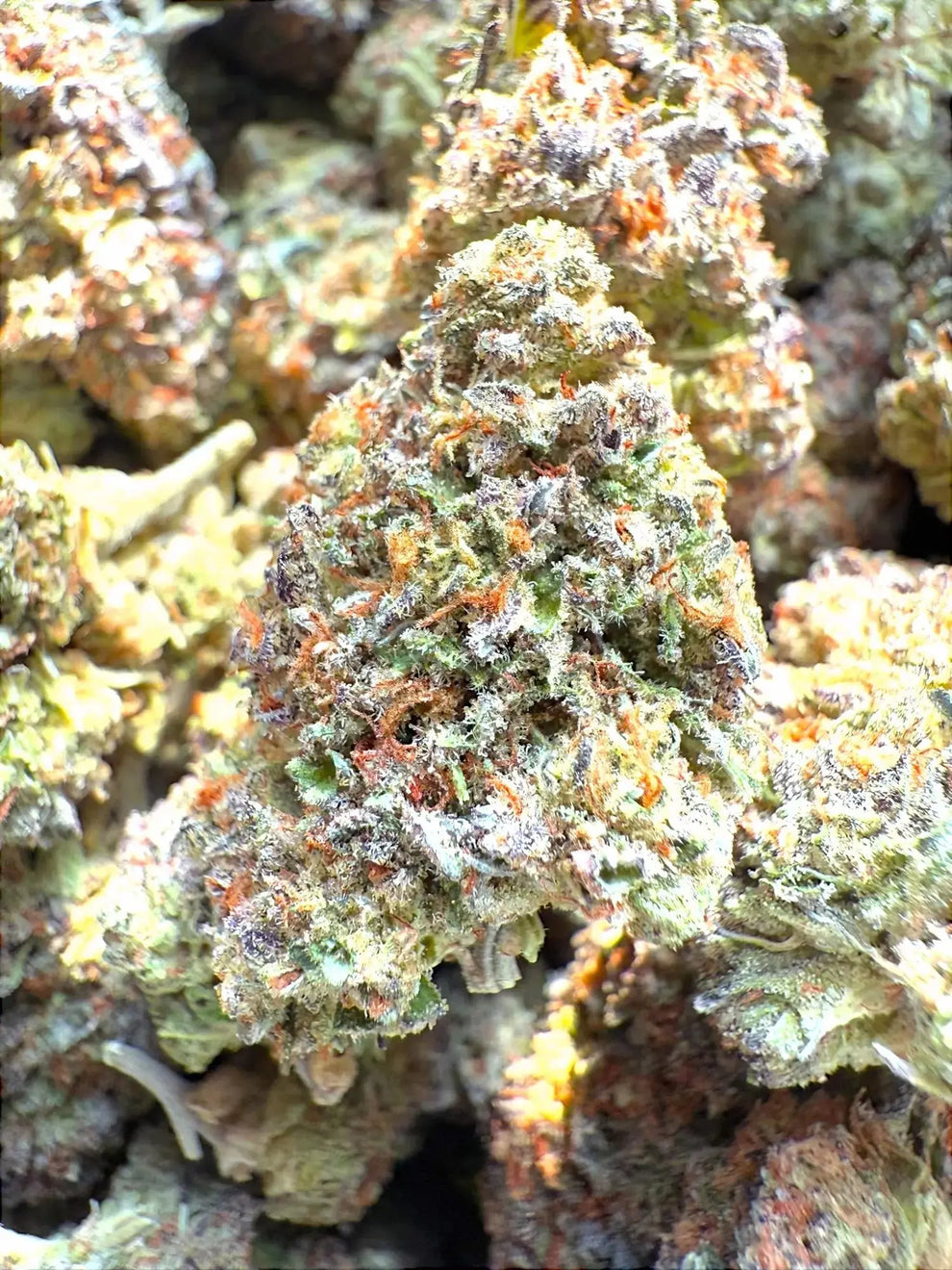 AAA Indoor Exotic - Premium THCA Strain for Relaxation – Frisco Labs ...