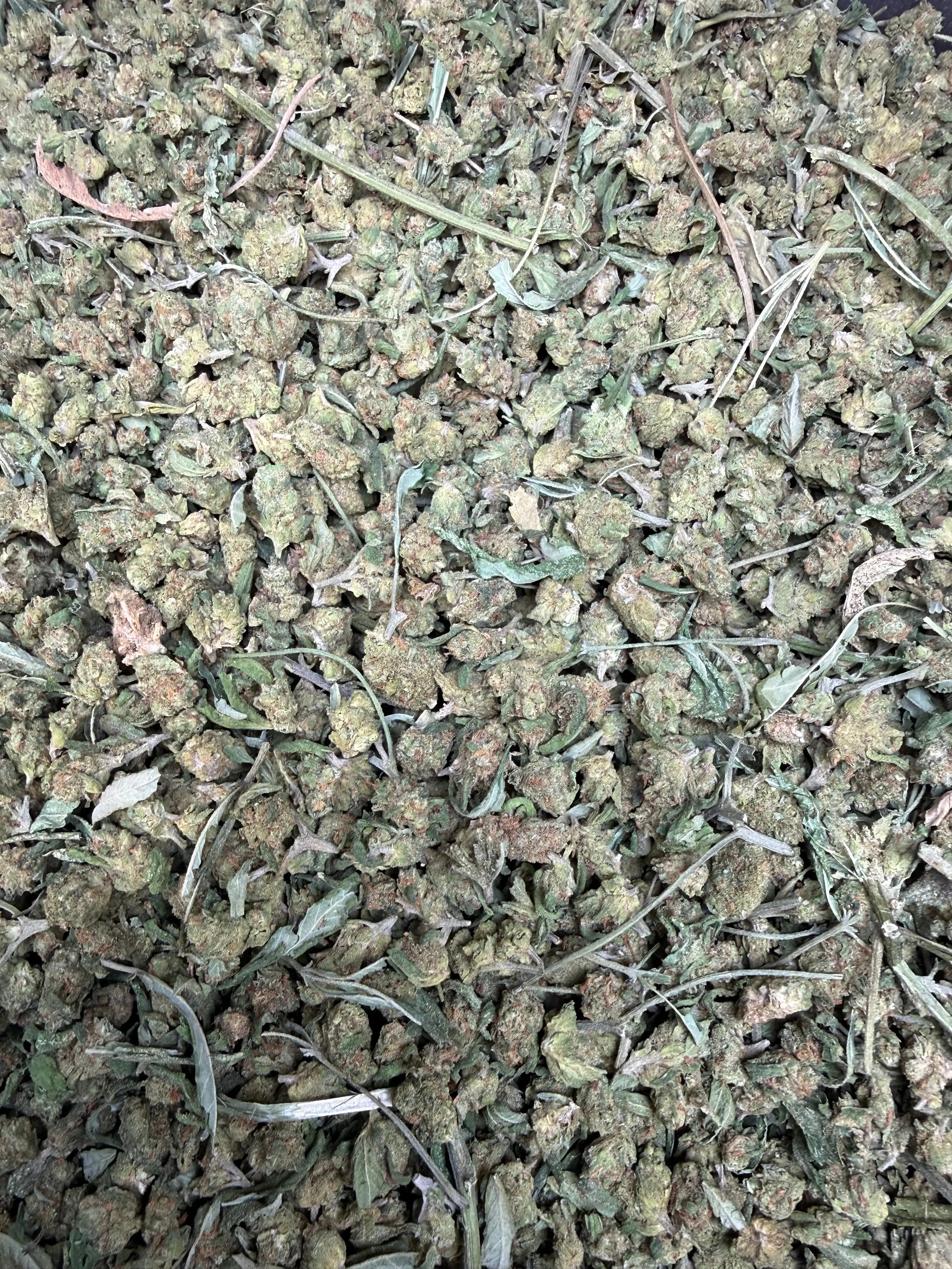 1 Pound – Blue Dream THCA Strain | Premium Indoor Hybrid | Frisco Labs ...