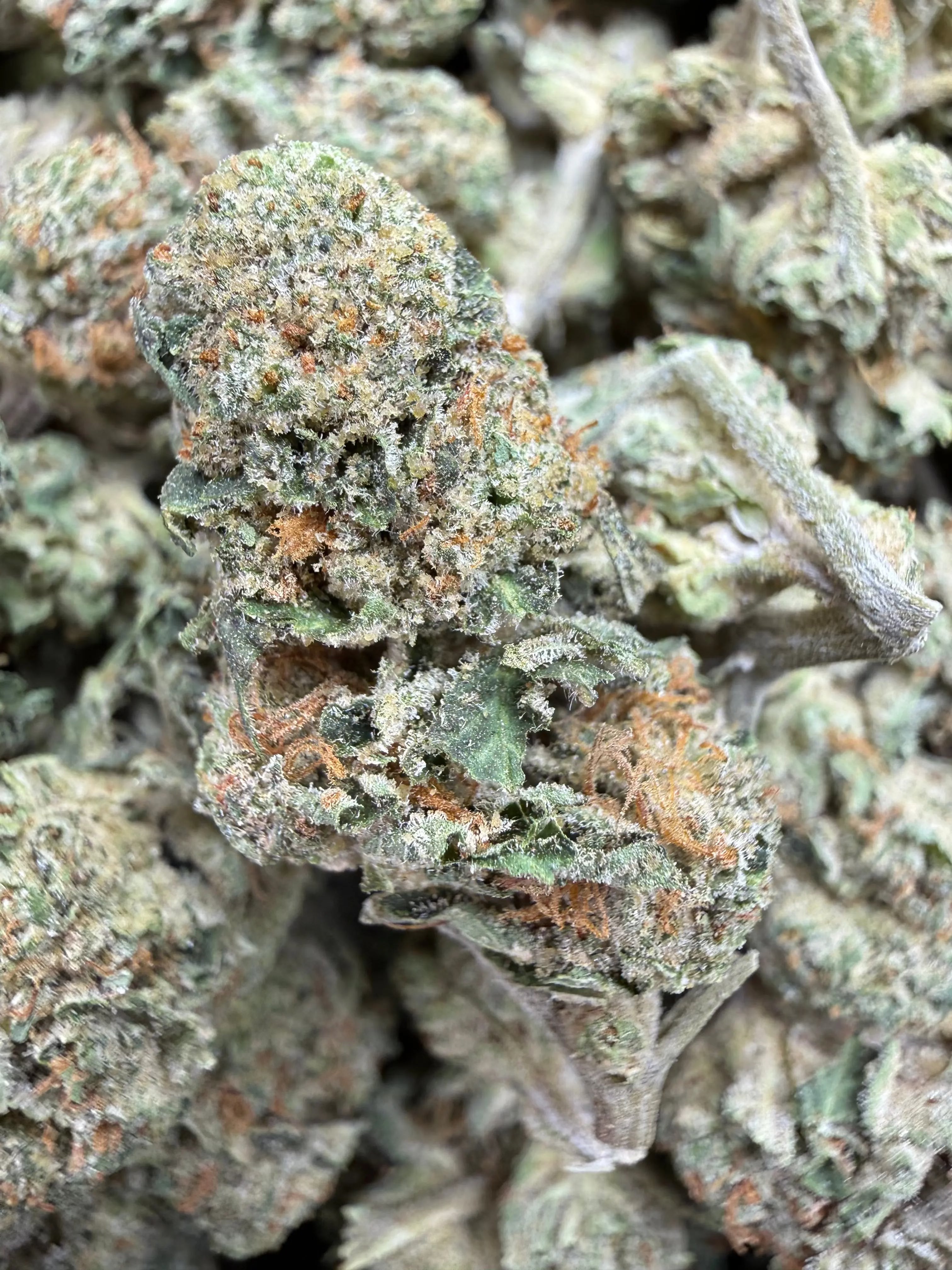 1 Pound – Cali Cartel THCA Strain (Smalls) | Indoor Exotic | Frisco ...