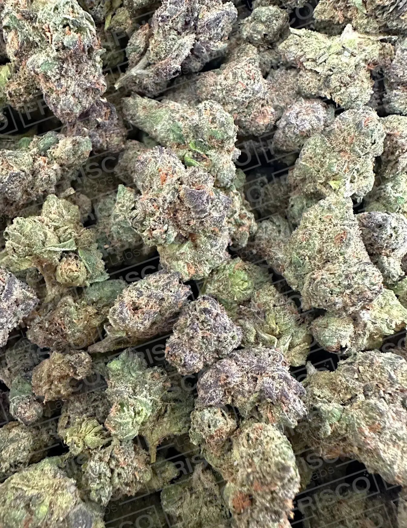 Runtz THCA Strain Flower For Sale | Frisco Labs Exclusive – Frisco Labs ...