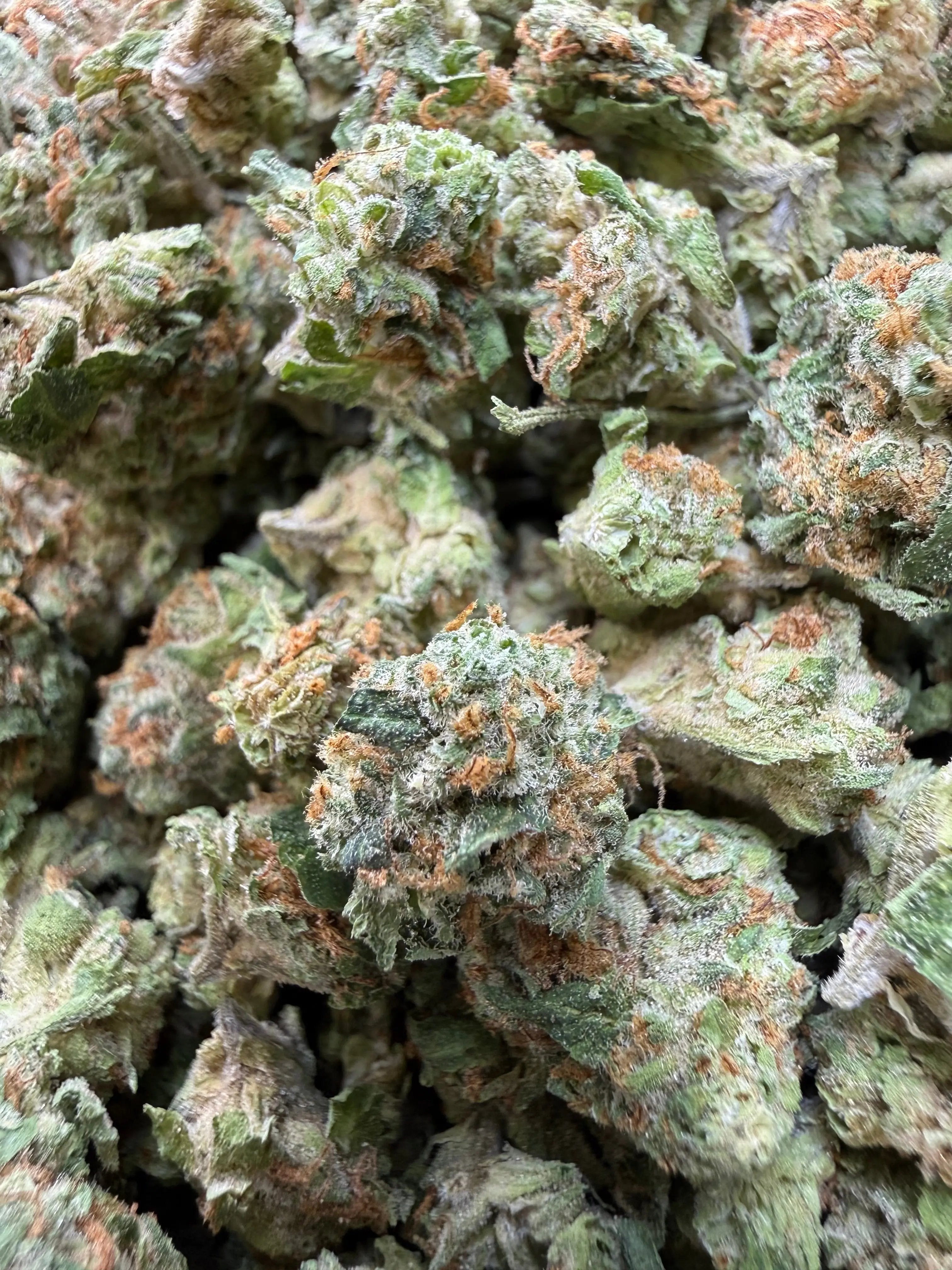1 Pound – Cereal Milk THCA Strain | Sweet Gas Indoor Exotic | Frisco ...