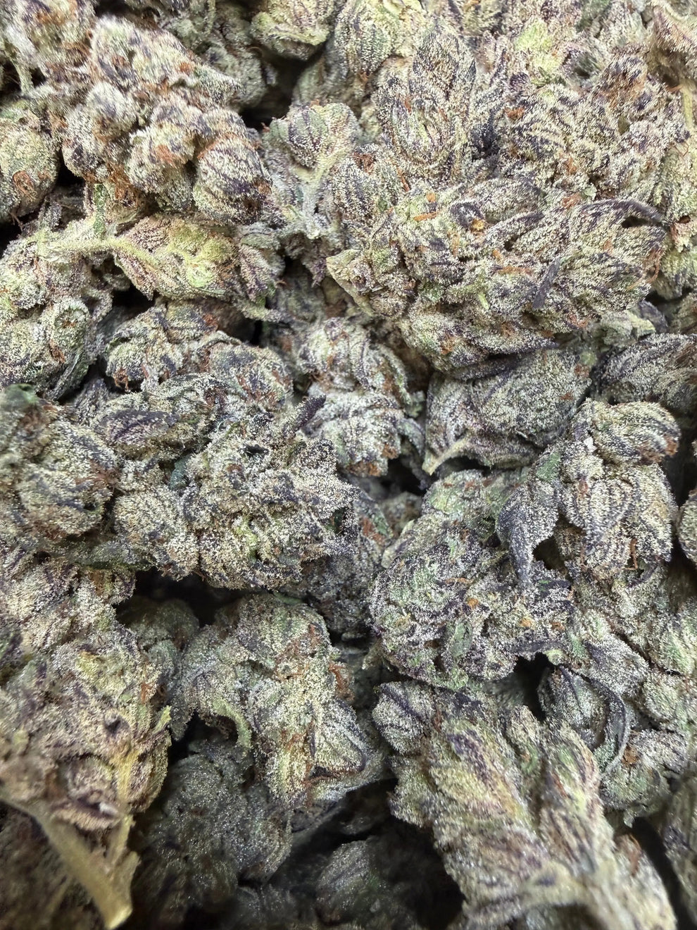 1 Pound – Deep Freeze THCA Strain | Frosted Indoor Exotic Flower ...