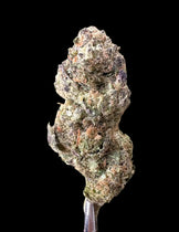 Exotic Indoor Hash Burger THCA Strain THCA Flower For Sale | Frisco ...