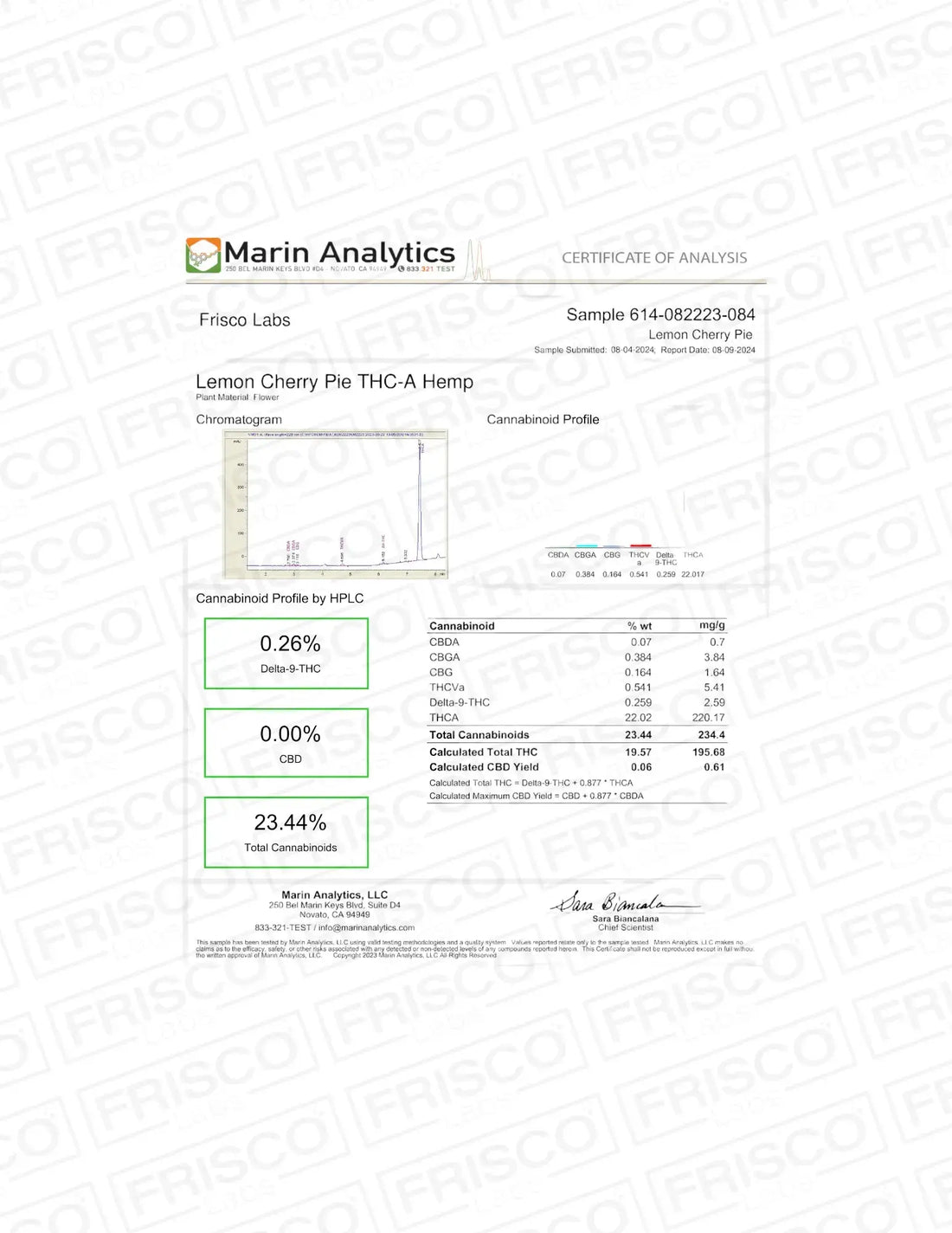 Exotic Lemon Cherry Pie Strain THCA | Frisco Labs Exclusive