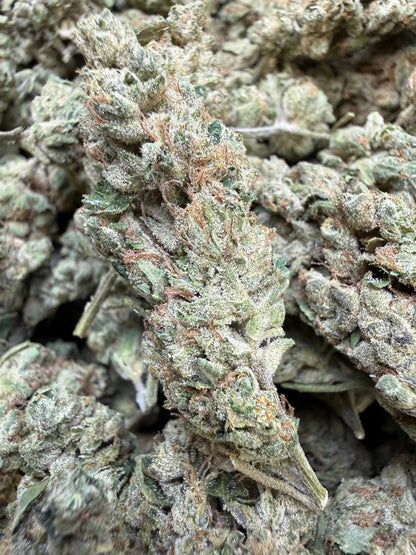 1 Pound Gary Payton Runtz THCA Flower | Bulk Greenhouse Hemp | Frisco ...