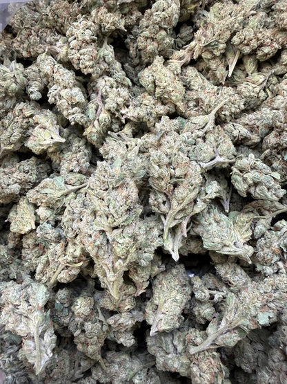 1 Pound Gary Payton Runtz THCA Flower | Bulk Greenhouse Hemp | Frisco ...