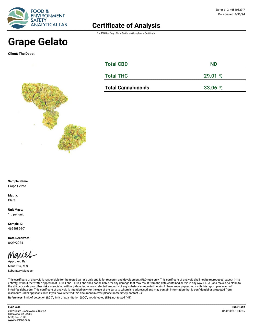 Gelato Punch THCA Smalls - Premium Cannabis Strain – FriscoLabs.com
