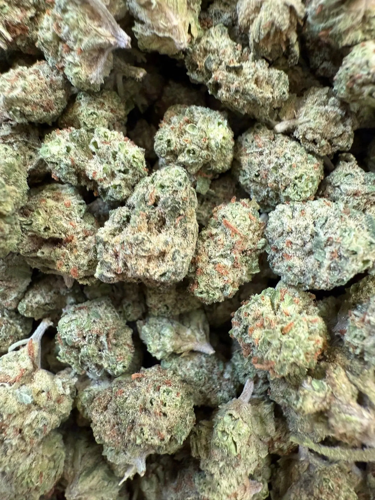 Gelato Punch THCA Smalls - Premium Cannabis Strain – FriscoLabs.com