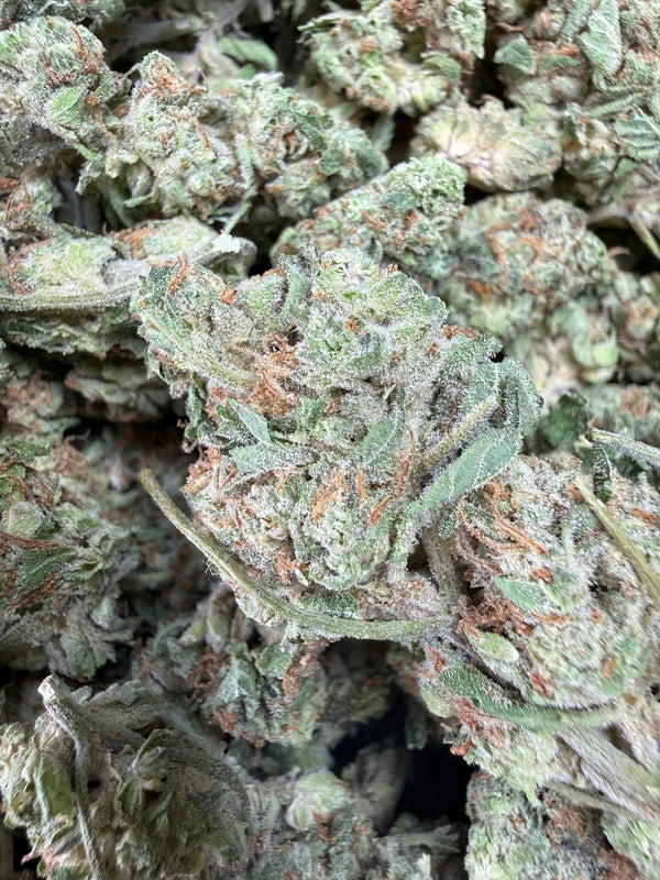 1 Pound – Midnight Fuel THCA Strain | Heavy Gas Indoor Exotic | Frisco ...