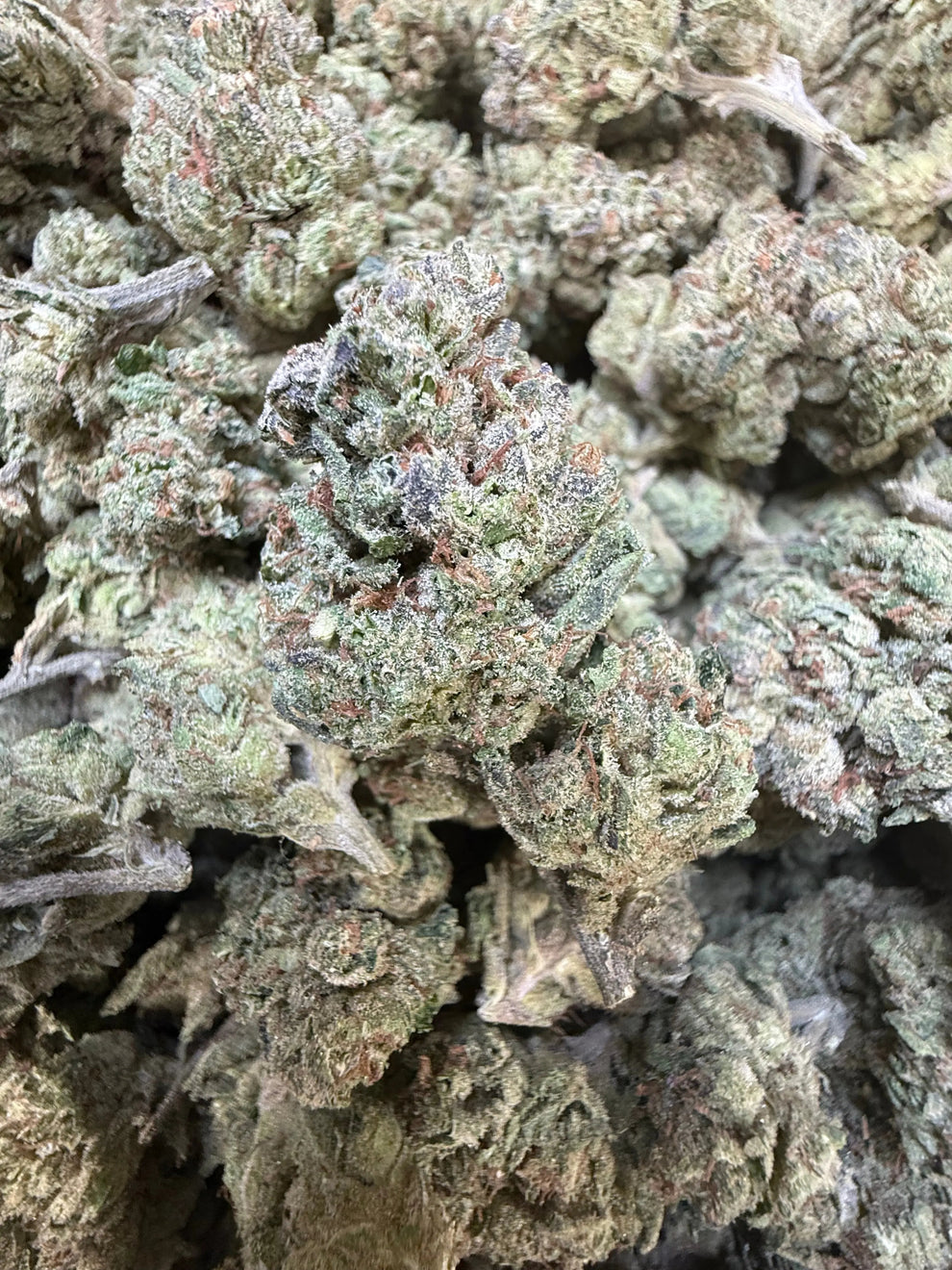 1 Pound – Sherb Popz THCA Strain | Sweet Sherbet Gas Indoor Exotic ...