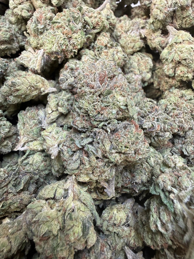 1 Pound – Sherb Popz THCA Strain | Sweet Sherbet Gas Indoor Exotic ...