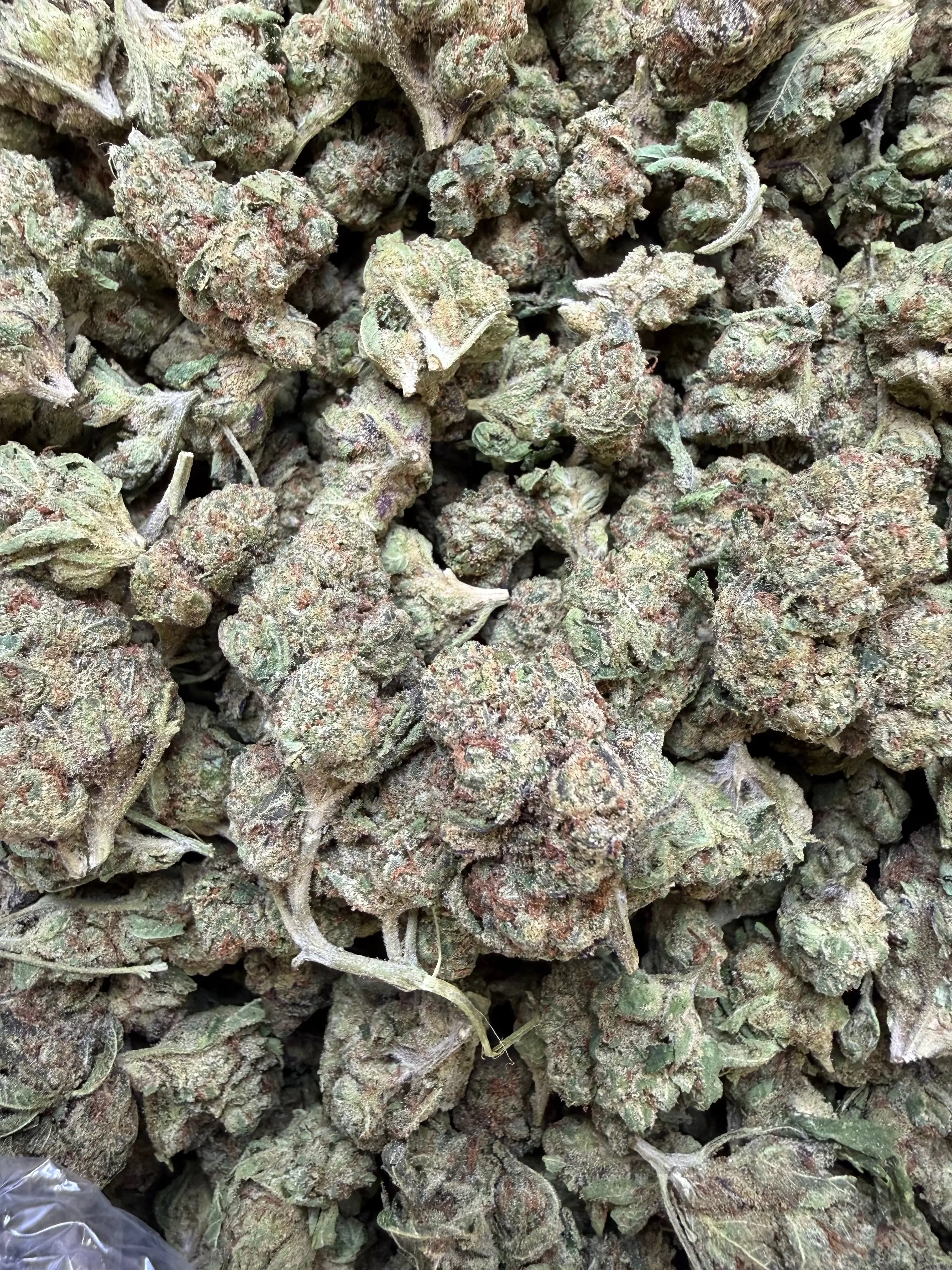 1 Pound Obama Runtz THCA Flower (Smalls) | AAA Bulk THCA – Frisco Labs