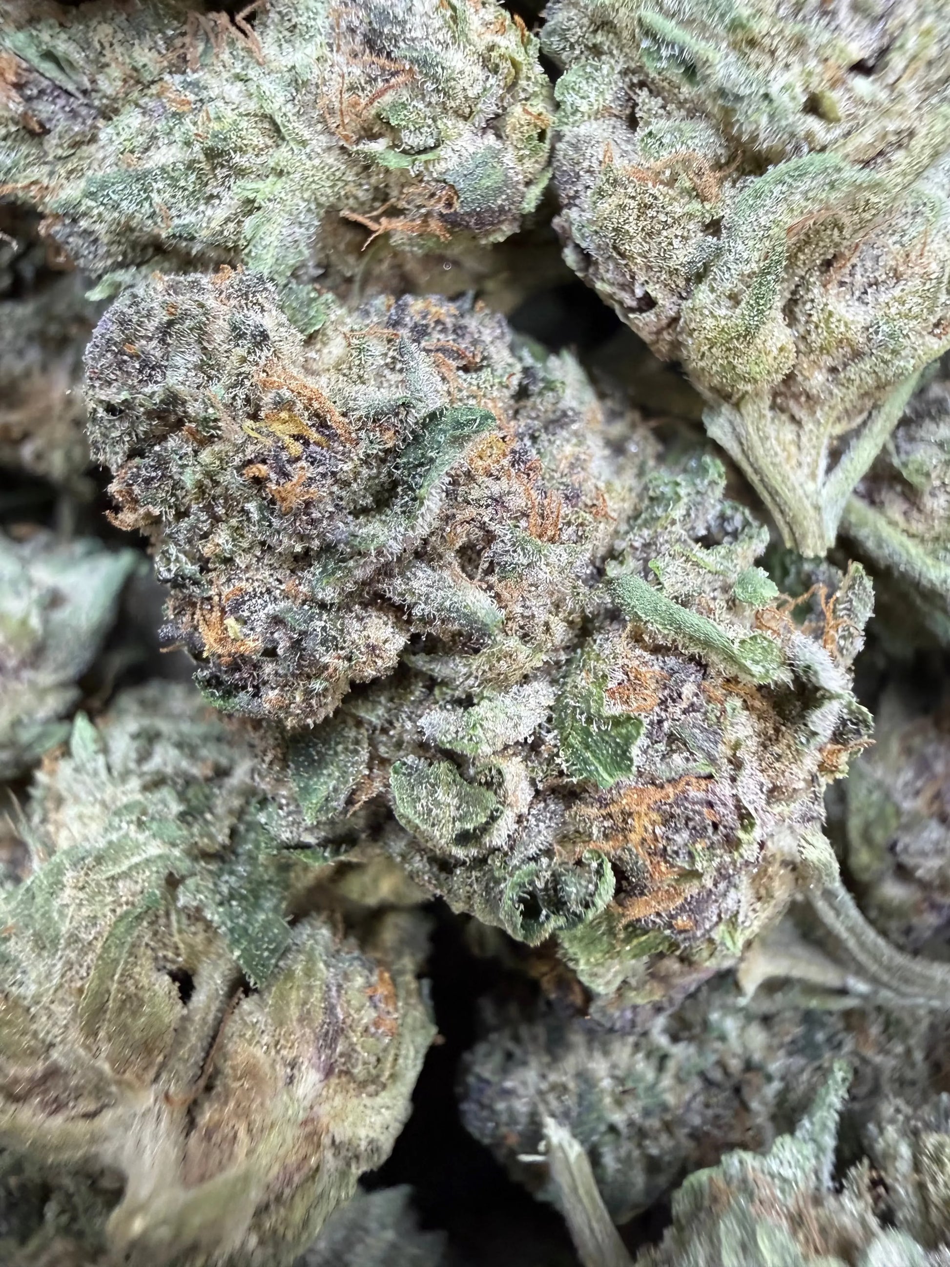 1 Pound Purple Sunset BX2 THCA Flower | Light Dep Hemp | Frisco Labs ...