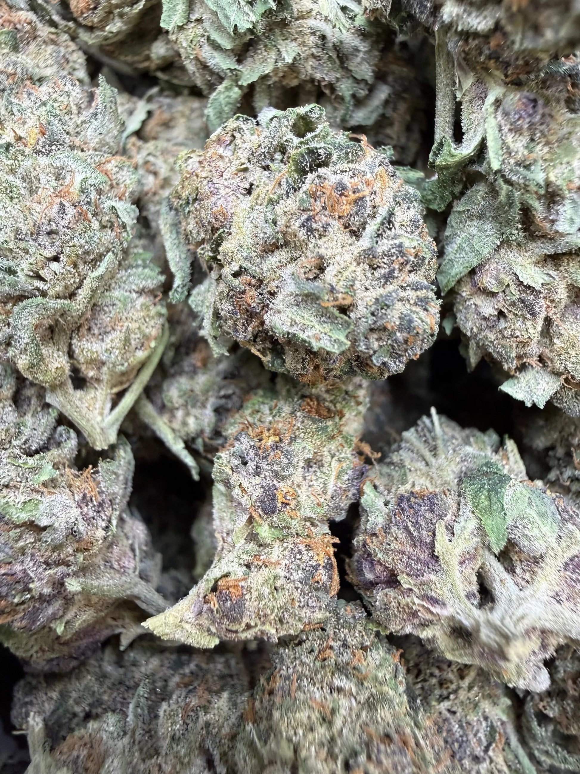 1 Pound Purple Sunset BX2 THCA Flower | AAA Bulk THCA | Frisco Labs ...