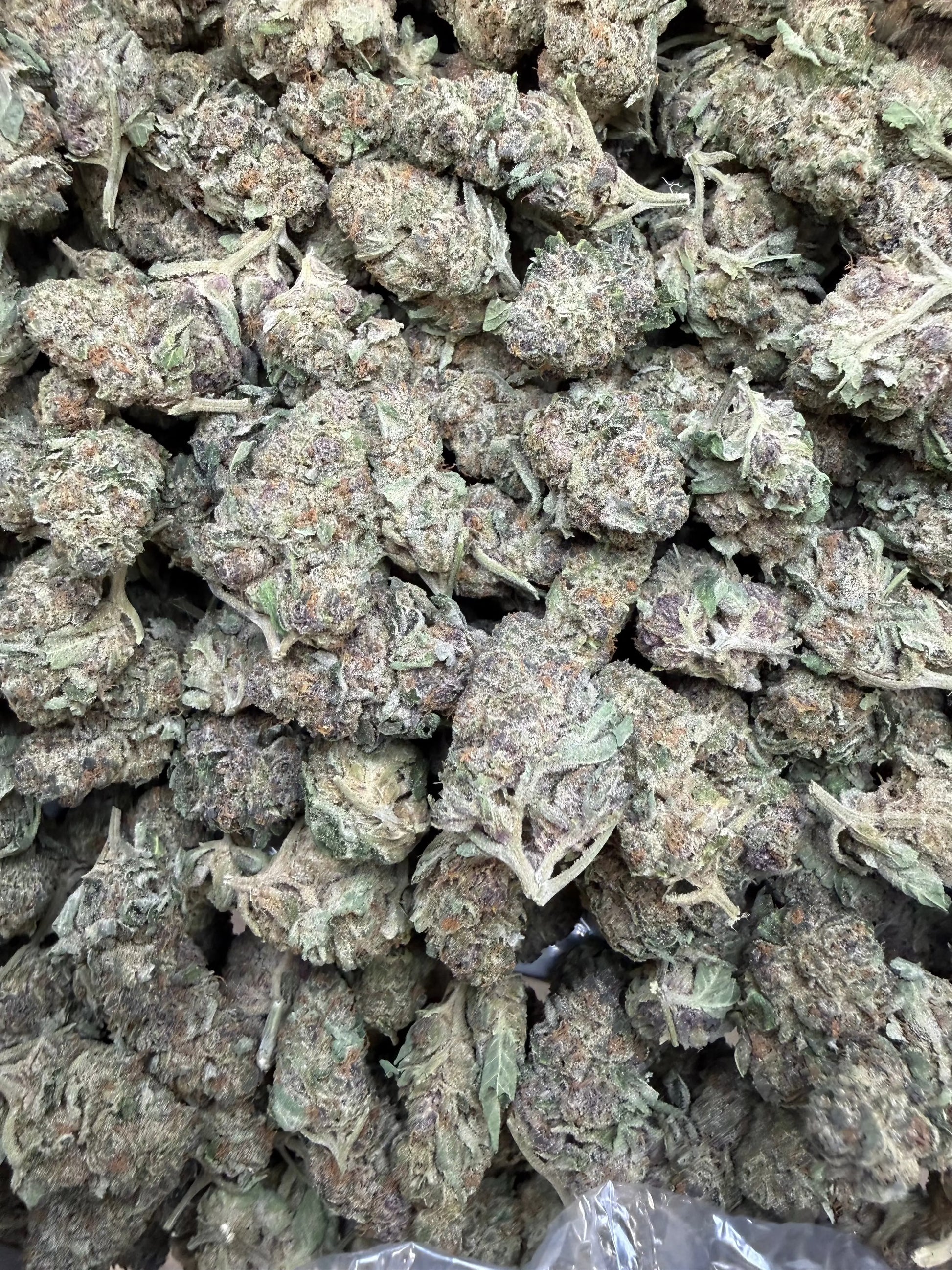 1 Pound Purple Sunset BX2 THCA Flower | AAA Bulk THCA | Frisco Labs ...