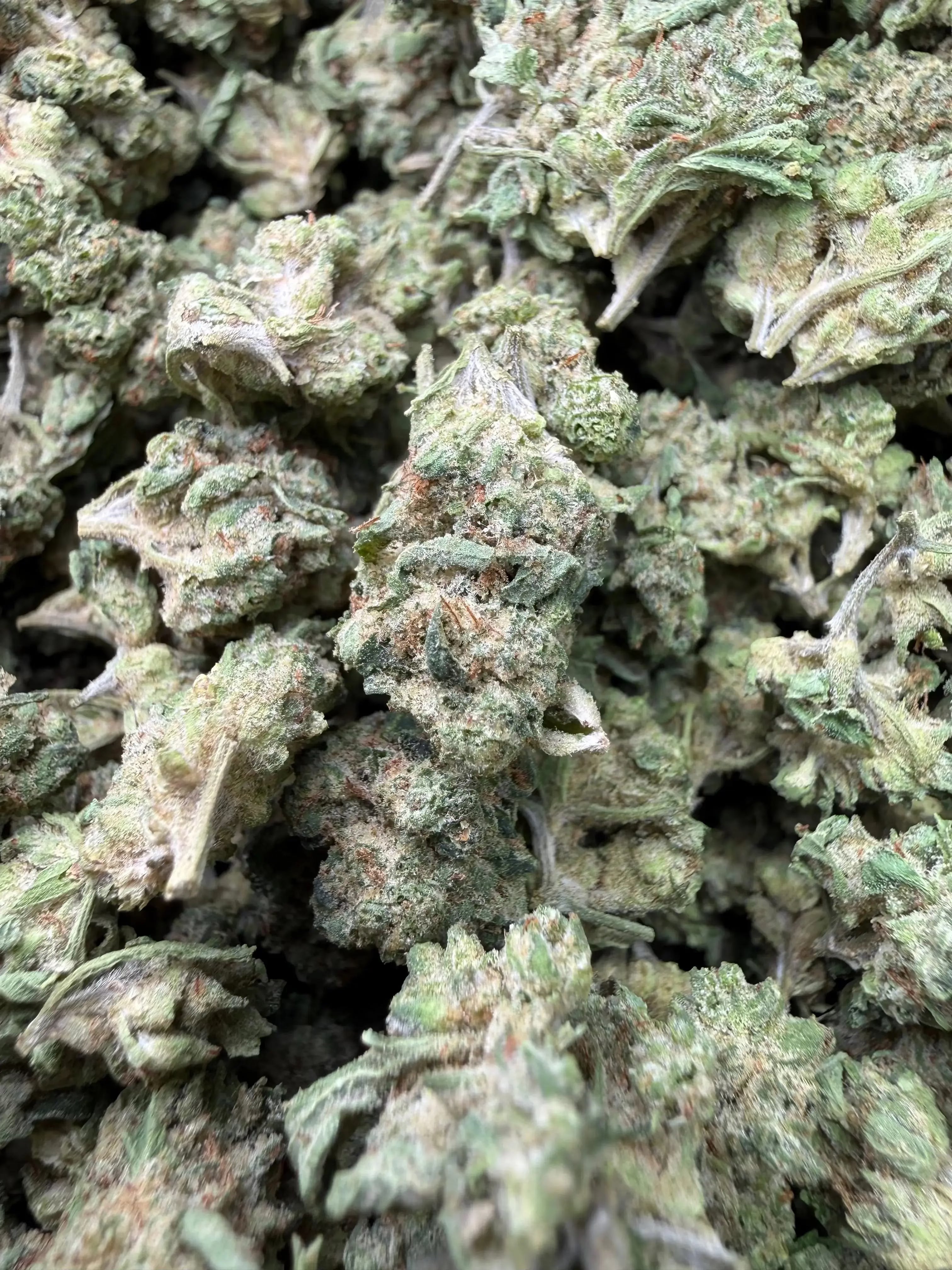 1 Pound – Push Pops THCA Strain (Smalls) | Indoor Exotic | Frisco Labs ...