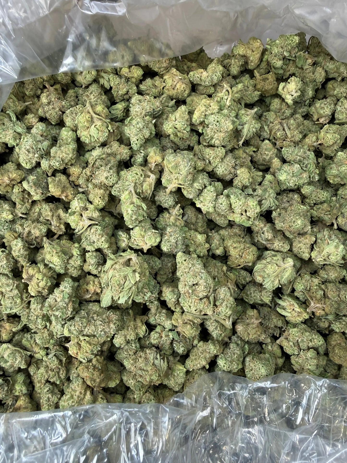 Smackerz THCA Flower (Smalls) – 1 Pound | Premium Indoor Exotic ...
