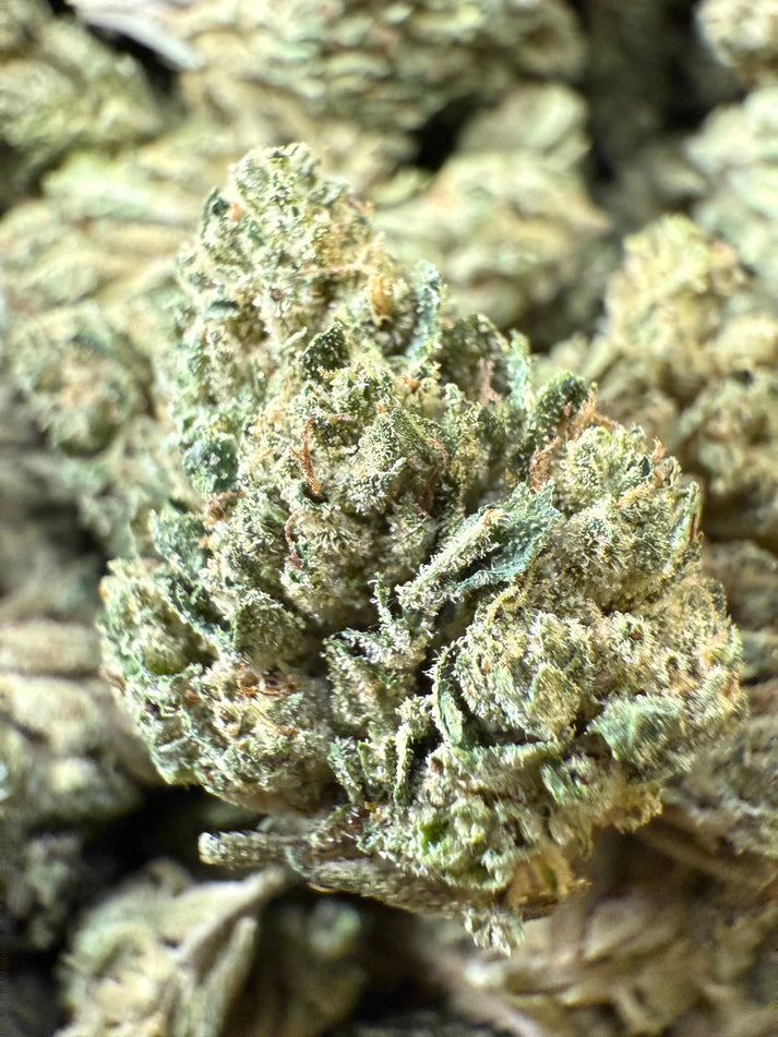 1lb Sour Cheezel THCA Flower | Funky Hybrid Bulk Strain | Frisco Labs ...