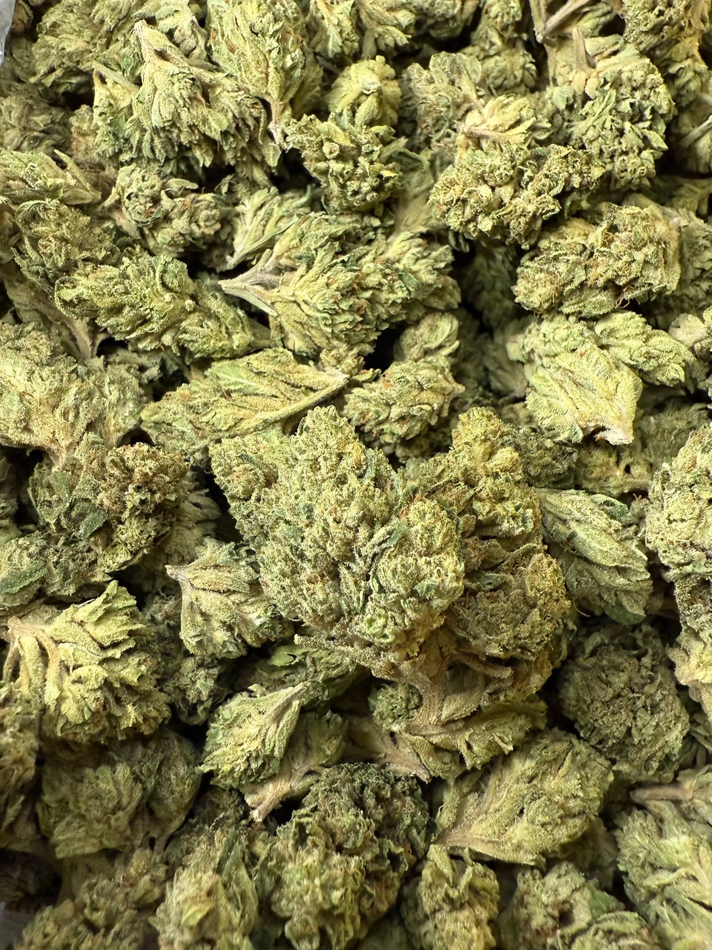 1lb Sour Cheezel THCA Flower | Funky Hybrid Bulk Strain | Frisco Labs ...