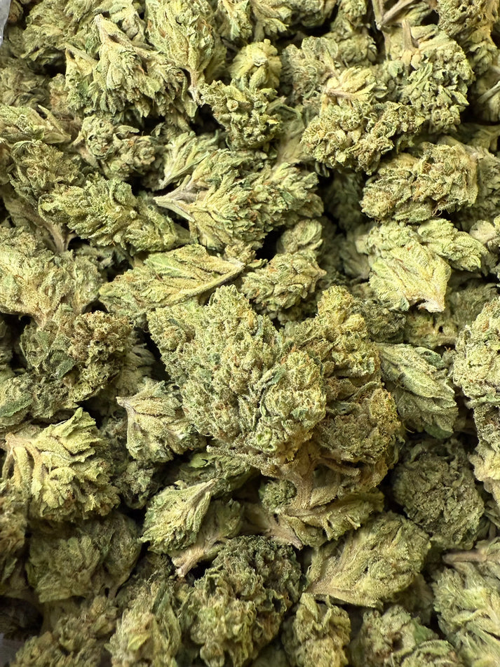 1lb Sour Cheezel THCA Flower | Funky Hybrid Bulk Strain | Frisco Labs ...