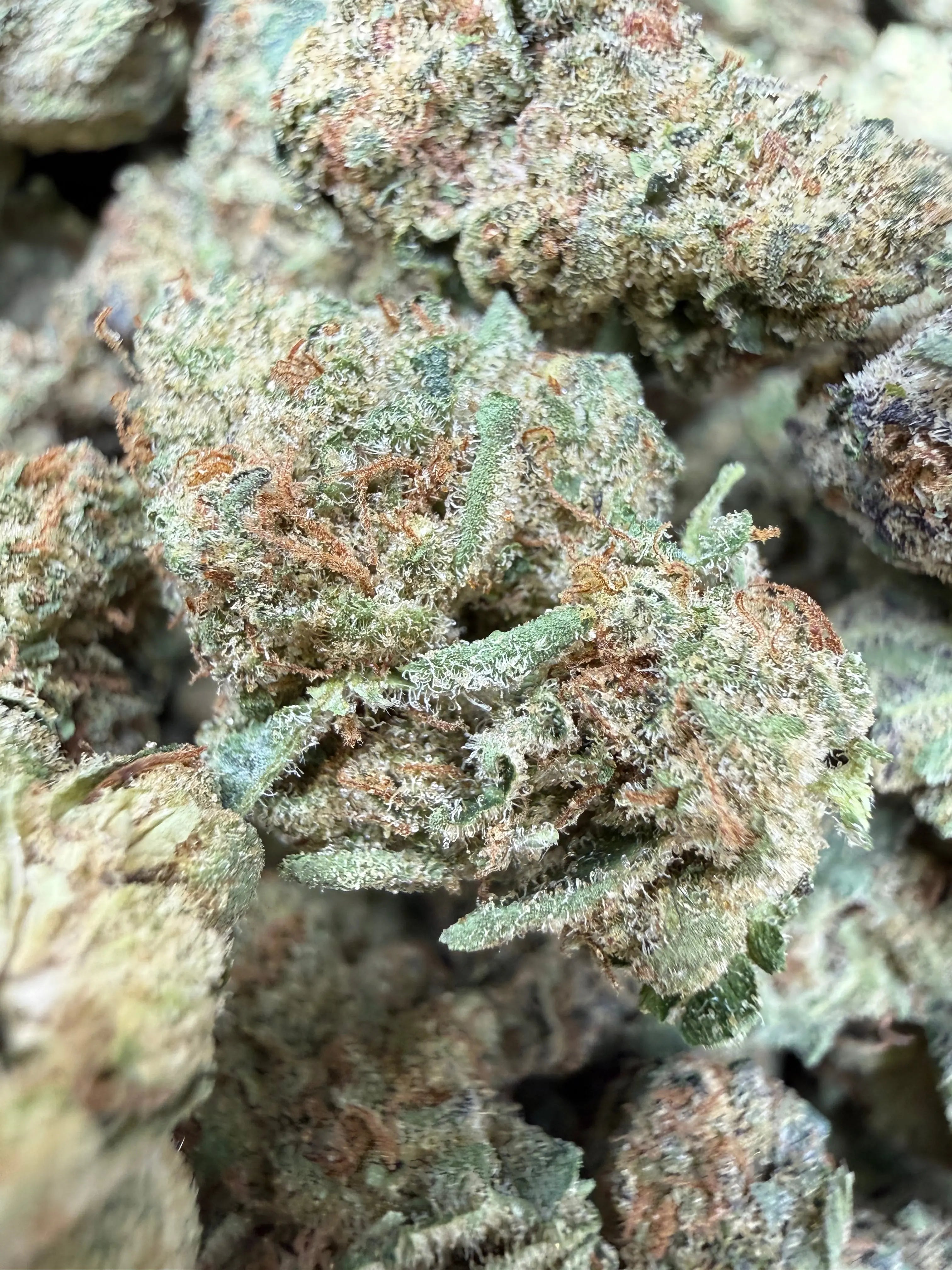 1 Pound Rocky Mountain Blueberry THCA Flower | Light Dep Hemp | Frisco ...