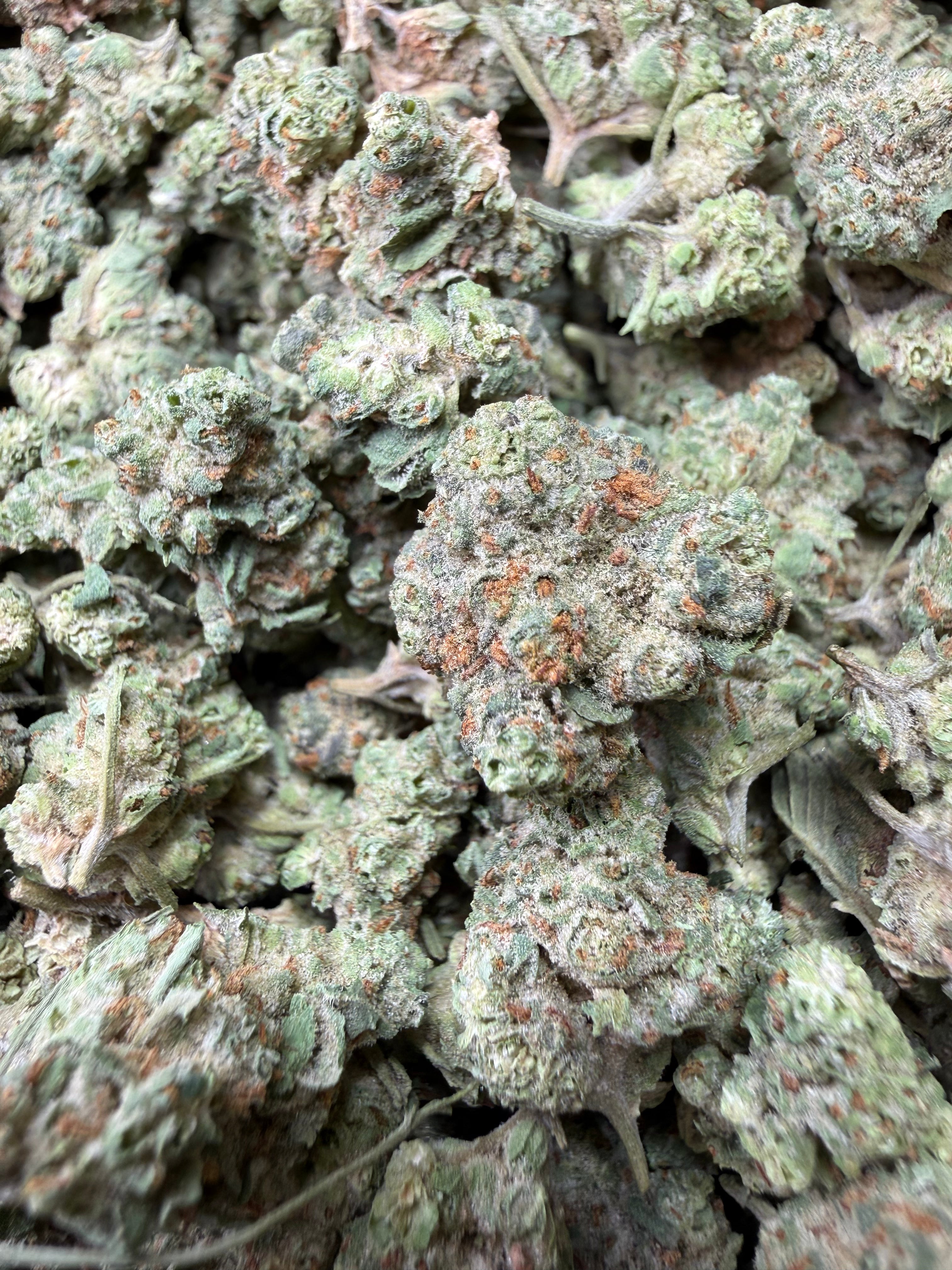 Super Sonic THCA Flower – 1 Pound (Smalls) | Indoor Exotic Bulk ...