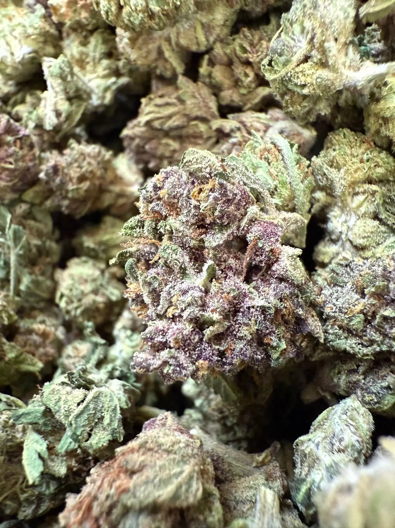 Tropical Sherbet THCA Smalls - Premium Cannabis Strain – Frisco Labs