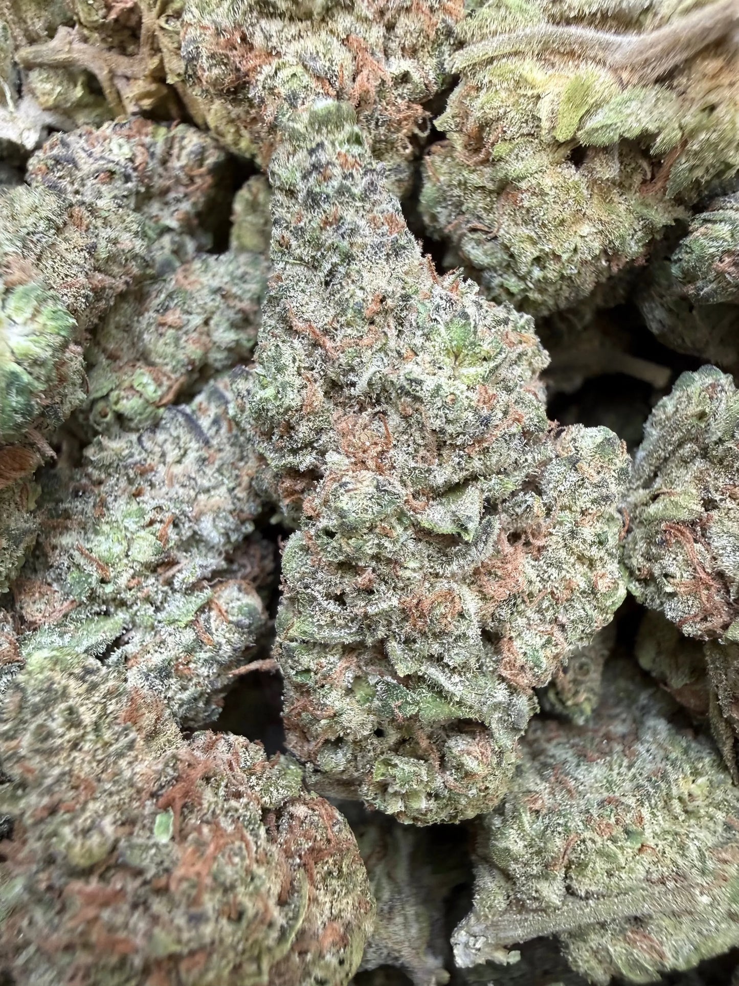 Smackers THCA Flower – 1 Pound (Indoor Exotic) | Candy Gas Hybrid ...