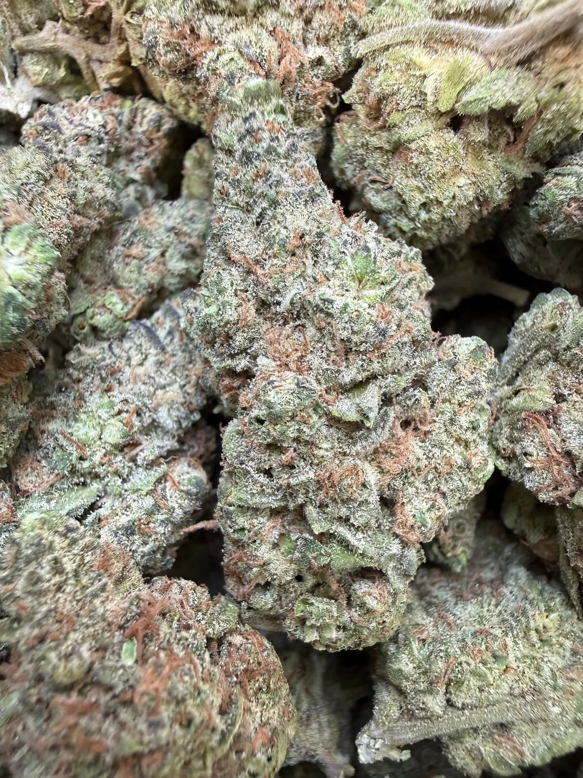 Smackers THCA Flower – 1 Pound (Indoor Exotic) | Candy Gas Hybrid ...