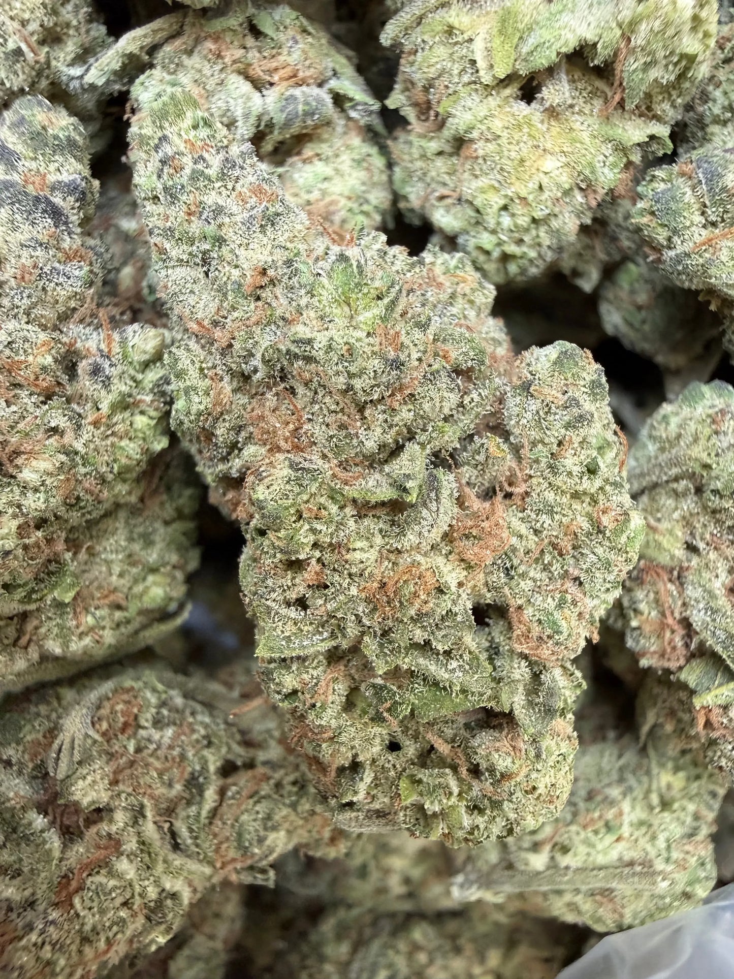 Smackers THCA Flower – 1 Pound (Indoor Exotic) | Candy Gas Hybrid ...