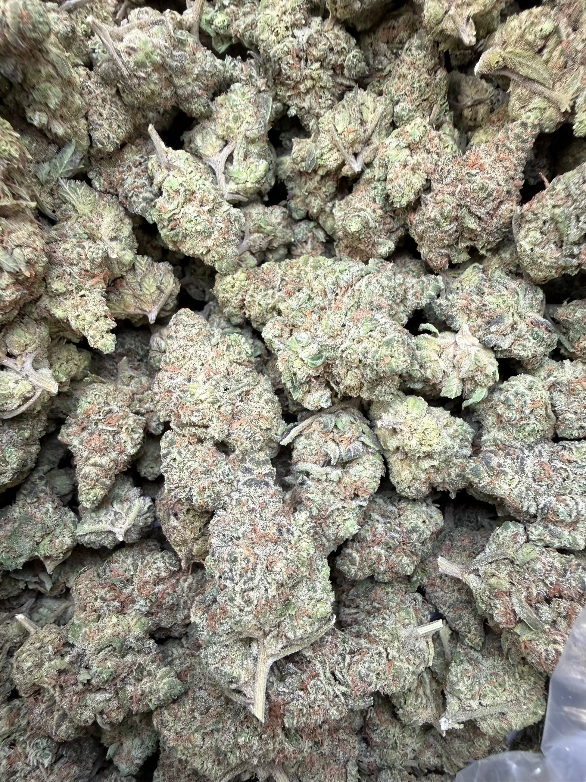 1 Pound Smackerz THCA Strain | Bulk THCA Flower | Frisco Labs – Frisco ...