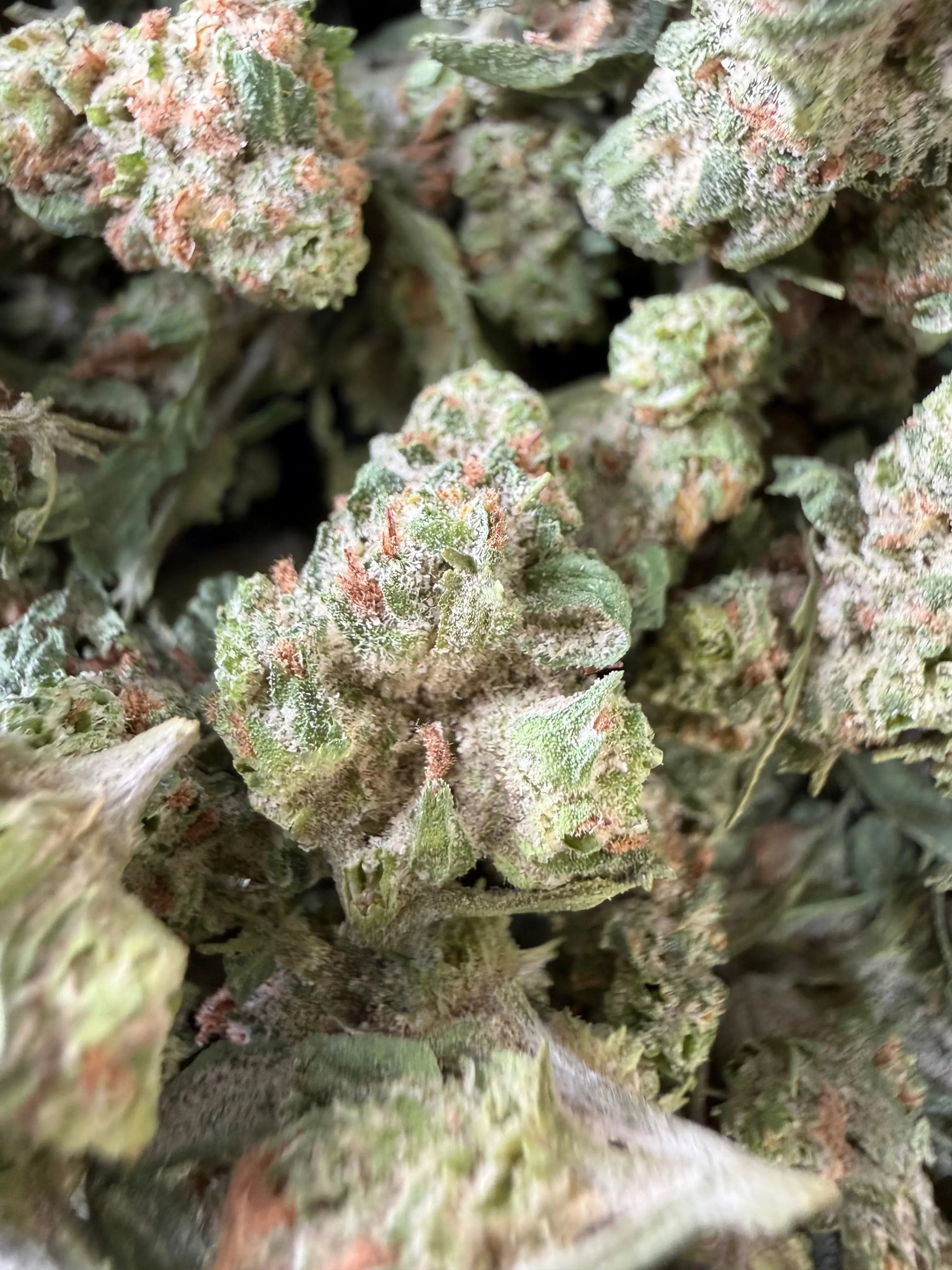 🍇 Grape Muffinz THCA – 1 Pound Smalls | Wholesale THCA | Frisco Labs ...