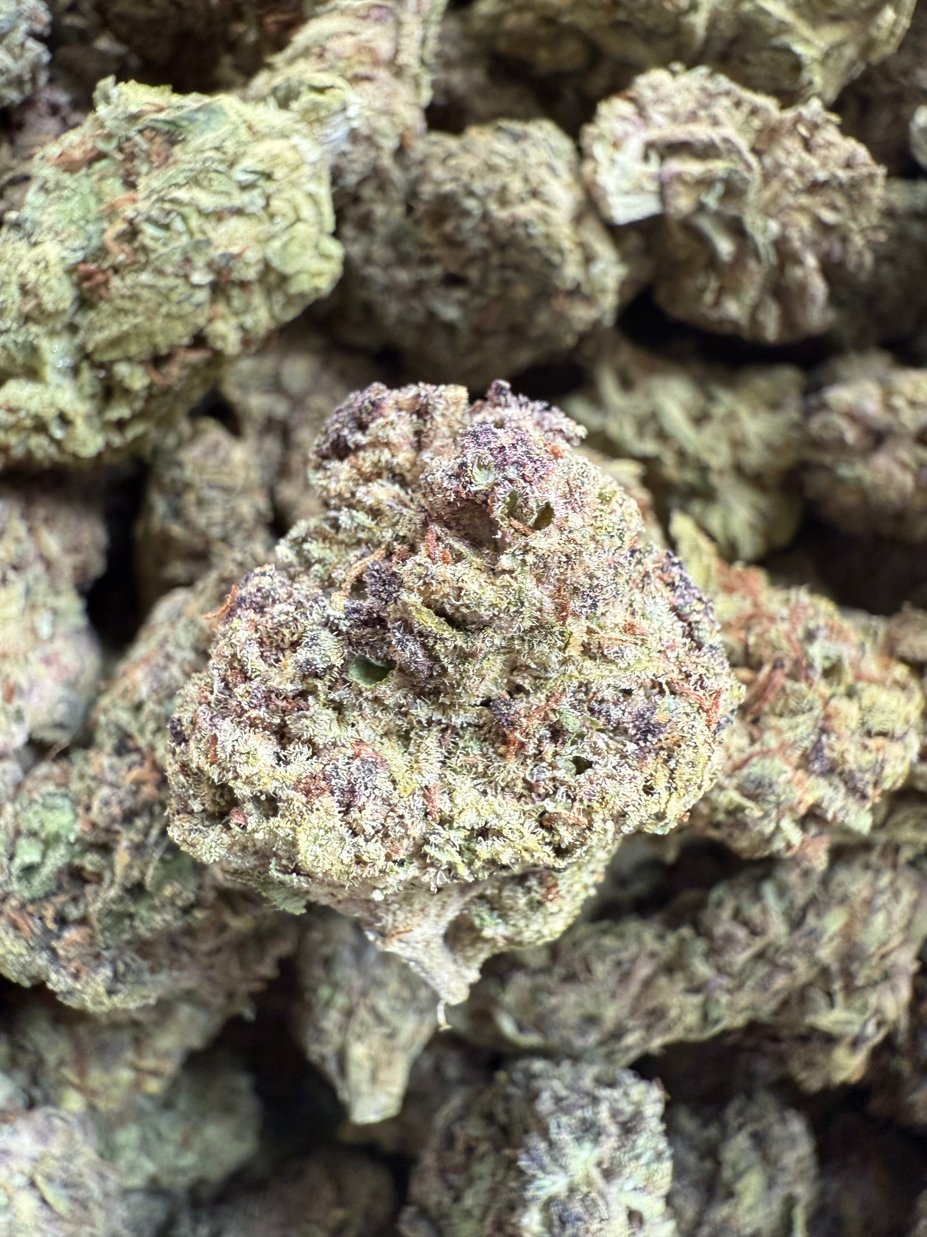 Premium 1 Pound Purple Cherry Pie THCA - Buy Now at Frisco Labs ...