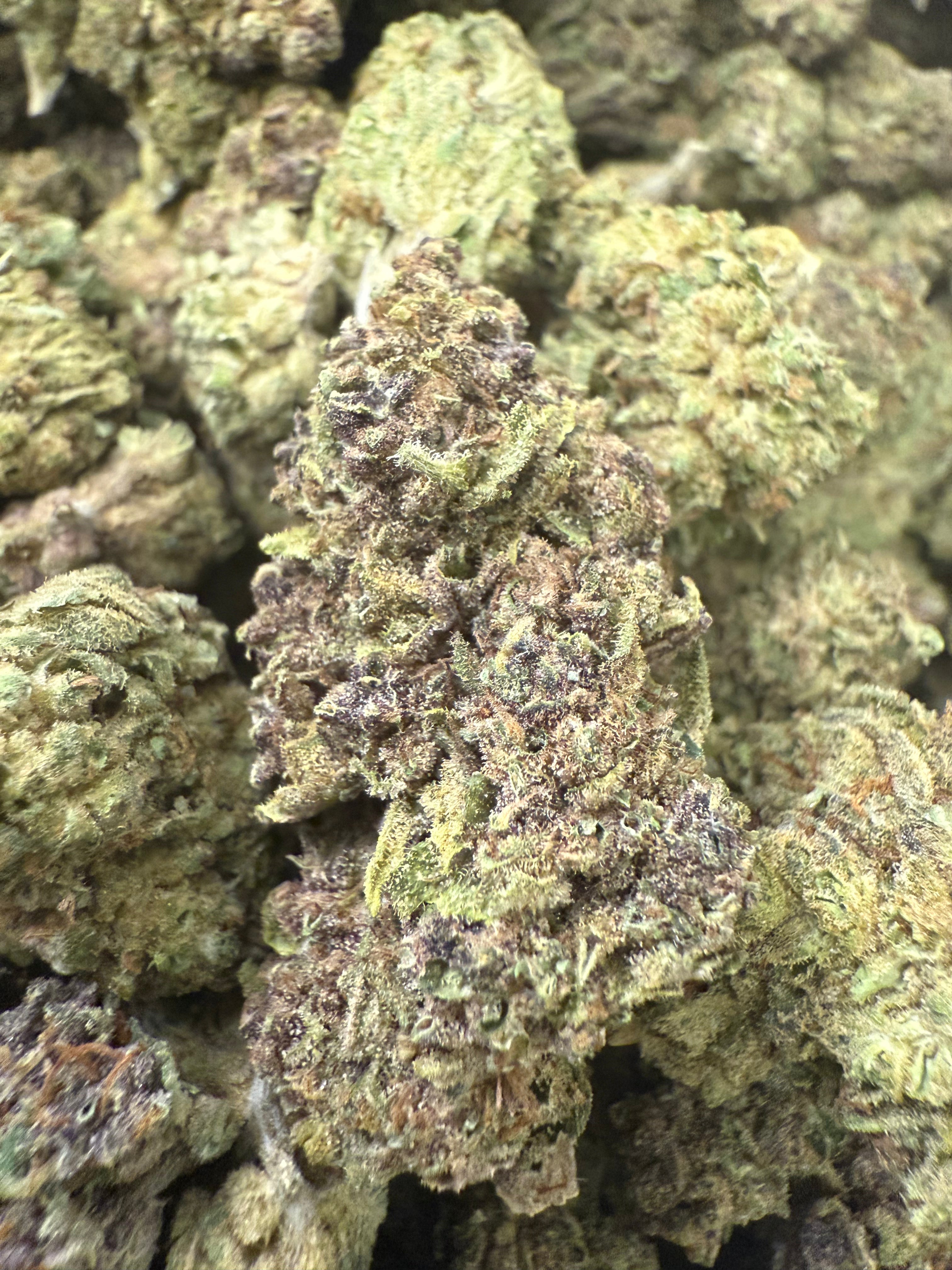 Premium Purple LSD THCA - Buy Pounds of THCA Flower at Frisco Labs ...