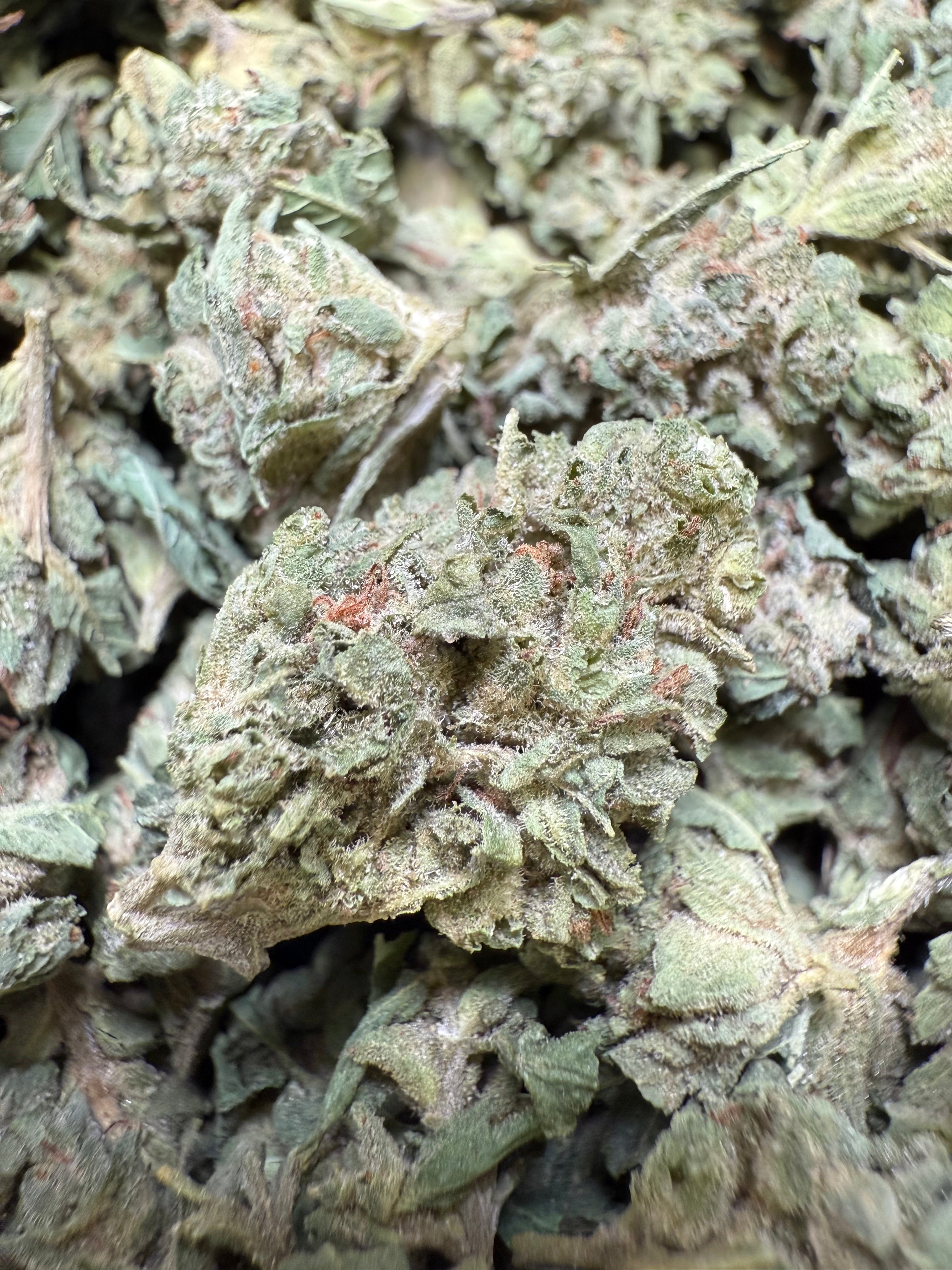 Lemon Tree THCA Smalls – 1 Pound Indoor Exotic Hemp – FriscoLabs.com
