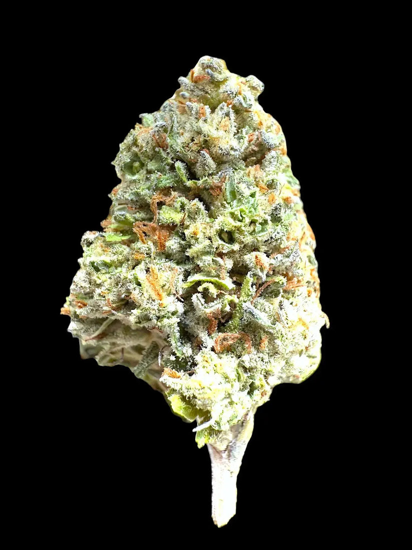 Frisco Labs - E-85 Gas THCA Strain For Sale | Frisco Labs Exclusive