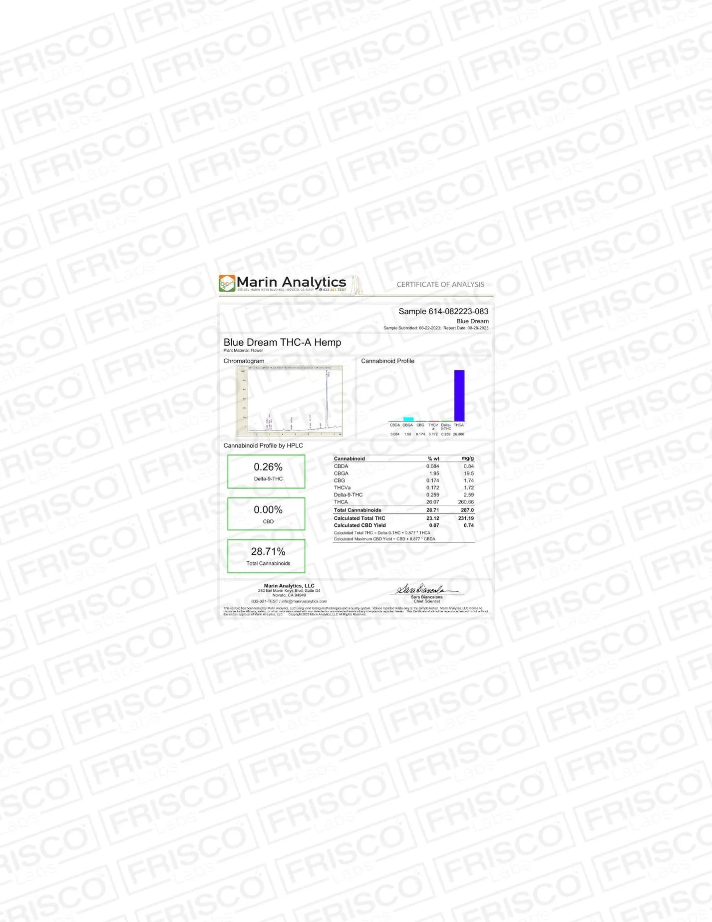 Indoor Platinum Blue Dream THCA Strain | Frisco Labs Exclusive
