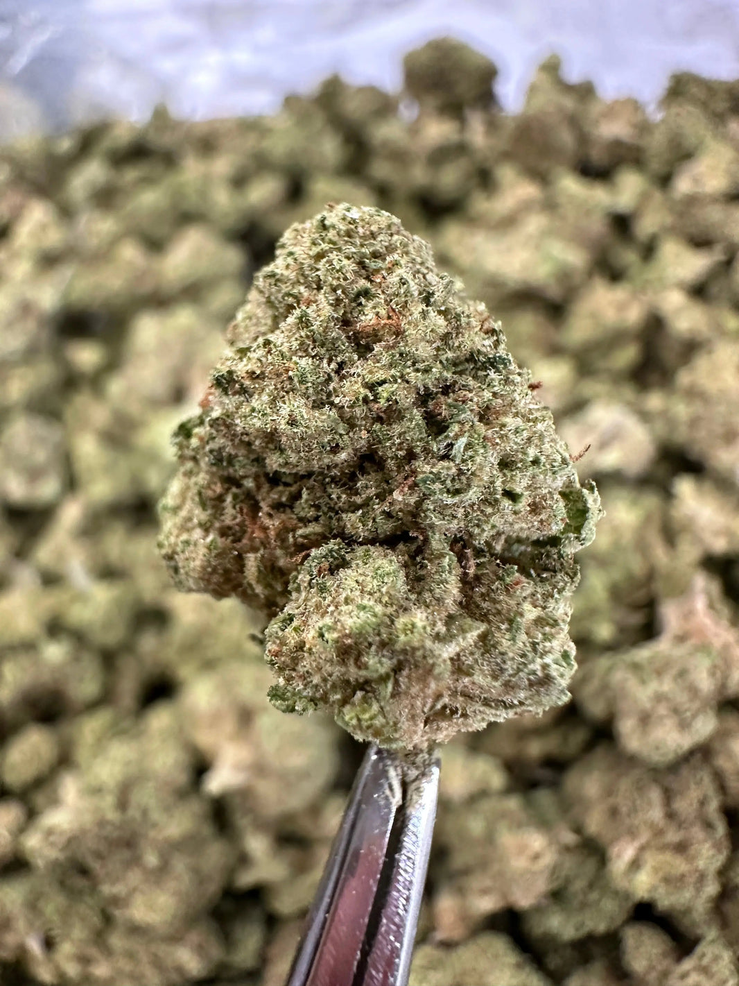 Discover the Natural THCA Flower | Pure and Organic