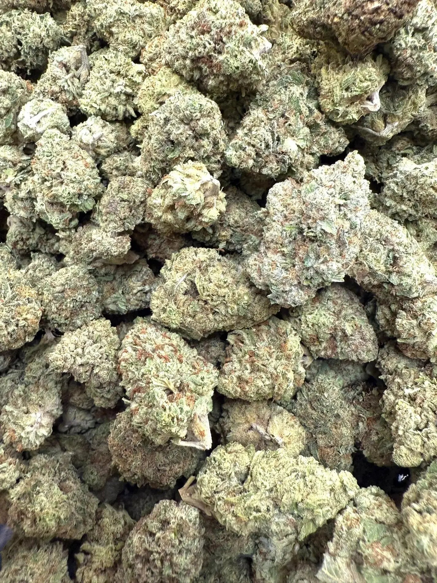 Purple Punch Strain THCA Flower For Sale | Frisco Labs Exclusive