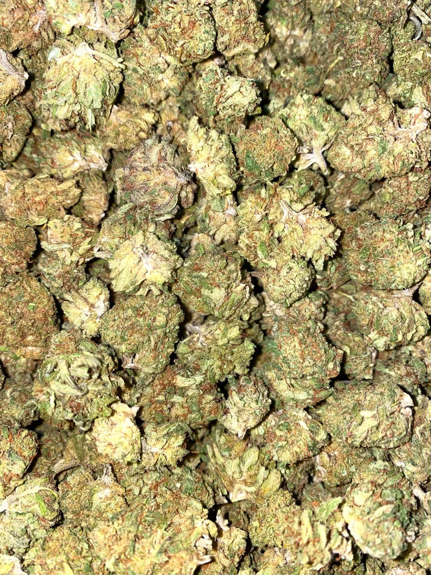 Sour Electra CBD Strain | SmokeableCBD Flower | Frisco Labs