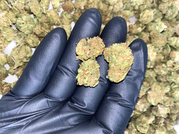 Sour Lifter CBD Strain | SmokeableCBD Flower | Frisco Labs