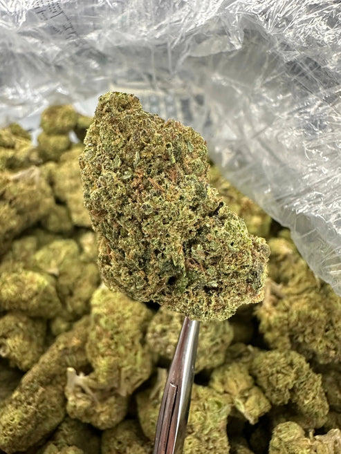 White Runtz THCA Flower For Sale | Frisco Labs Exclusive