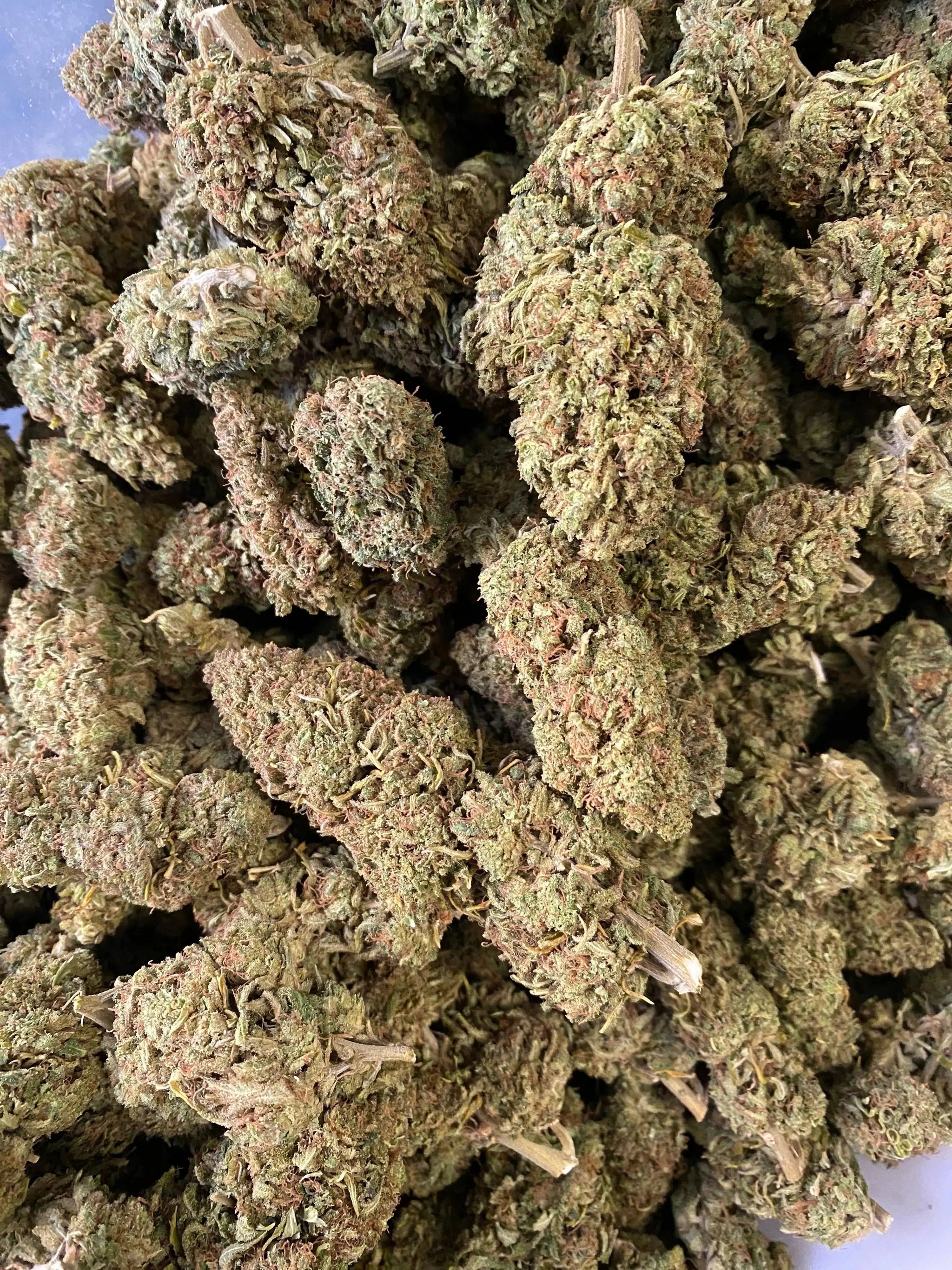 Super Sour Space Candy CBD Strain | Smokeable CBD Flower | Frisco Labs